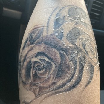 TAYLOR INK - Updated June 2025 - 446 Photos & 128 Reviews - 2955 Senter ...