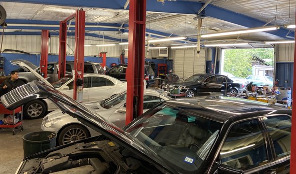 AUSTIN AUTOHAUS - Updated July 2025 - 19 Reviews - 906 Sagebrush Dr ...