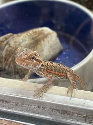 EAST BAY VIVARIUM - Updated May 2025 - 649 Photos & 606 Reviews - 1827 ...