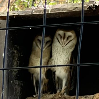 TRACY AVIARY - Updated August 2025 - 541 Photos & 194 Reviews - 589 E ...