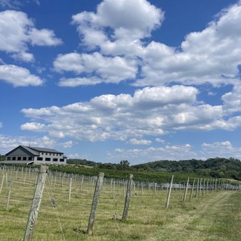 THREE FOX VINEYARDS & BREWERY - Updated October 2024 - 341 Photos & 212 ...