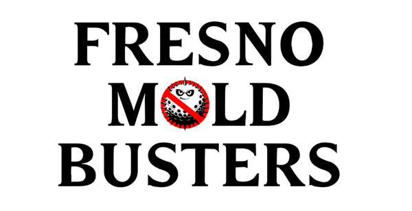 FRESNO MOLD BUSTERS - Updated June 2026 - 11 Reviews - Fresno ...