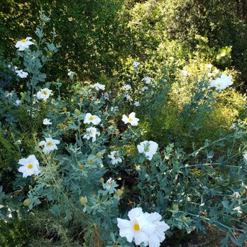 CAROLINE PARK - Updated December 2025 - 70 Photos & 26 Reviews - 320 ...