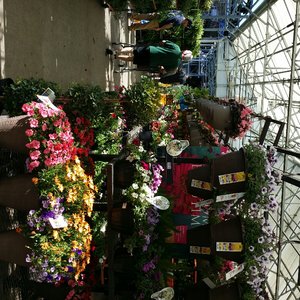 LUMBER ONE HOME CENTER - Updated July 2025 - 22 Reviews - 682 Hwy 365 ...