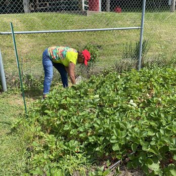 CRAFTON PARK - Updated October 2025 - 17 Photos - 15 Afton Ave, Crafton ...