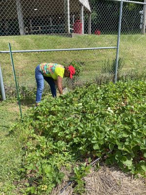 CRAFTON PARK - Updated October 2025 - 17 Photos - 15 Afton Ave, Crafton ...