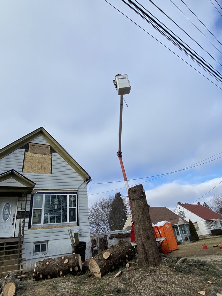 CHRIS TREE SERVICE - Updated December 2025 - 21 Photos - 1539 South ...