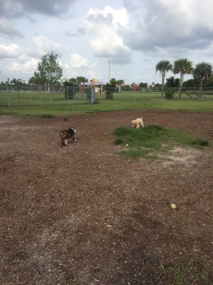 WA-KE HATCHEE COMMUNITY PARK - Updated March 2025 - 12 Reviews - 16760 ...