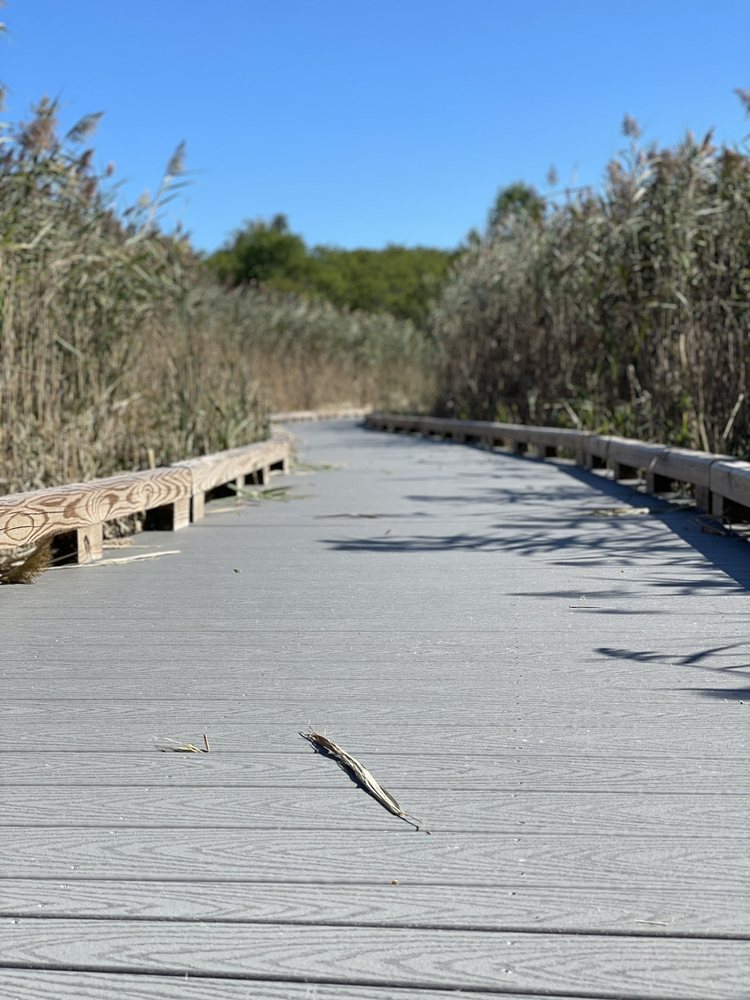 SQUANTUM POINT PARK - Updated August 2025 - 24 Photos & 17 Reviews - 1 ...