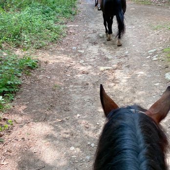 BOBBY’S RANCH - Updated December 2025 - 94 Photos & 101 Reviews - 6 ...