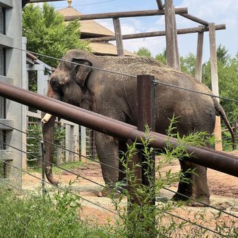 OKLAHOMA CITY ZOO - Updated July 2024 - 1113 Photos & 279 Reviews ...