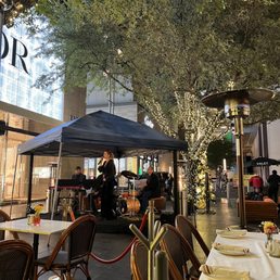 TOULOUSE CAFÉ AND BAR - Updated January 2026 - 1211 Photos & 630 Real ...