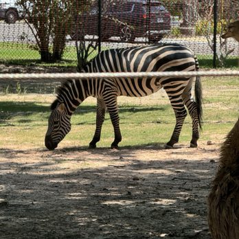 HATTIESBURG ZOO - Updated October 2025 - 58 Photos - 107 S 17th Ave ...