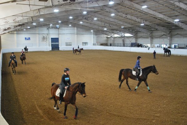 UCONN DEPARTMENT OF ANIMAL SCIENCE HORSE RIDING LESSONS - Updated ...