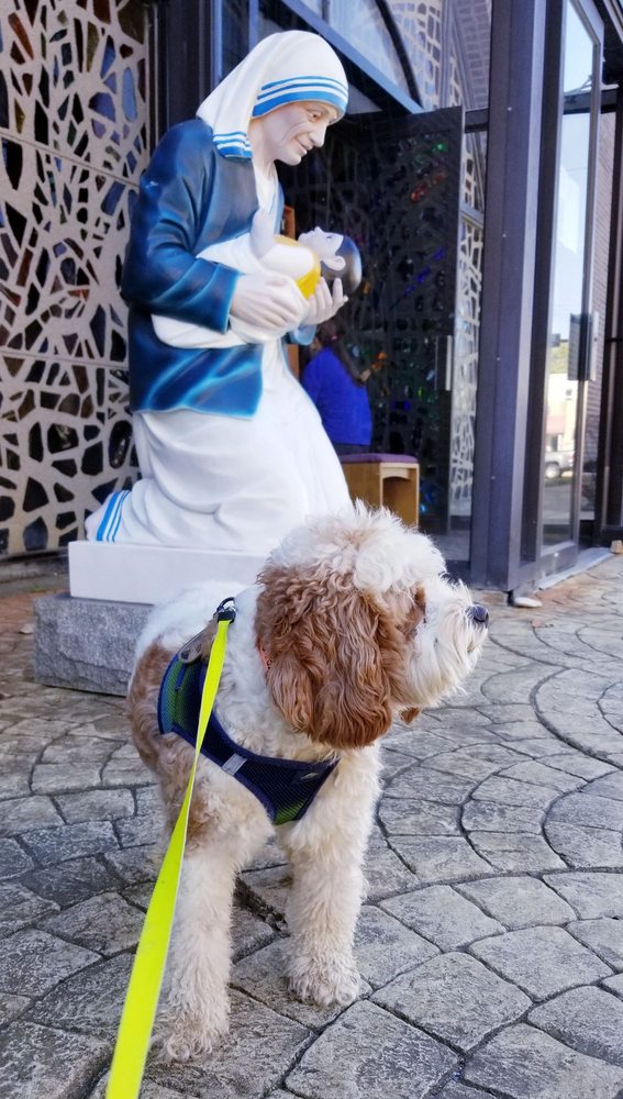 ST JOSEPH’S CATHOLIC CHURCH - Updated July 2025 - 376 Maple Pl, Keyport ...