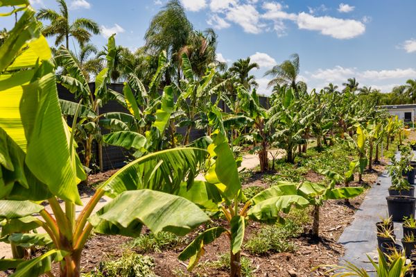 TINEZ FARMS - Updated May 2024 - 327 Photos & 56 Reviews - 16405 SW ...