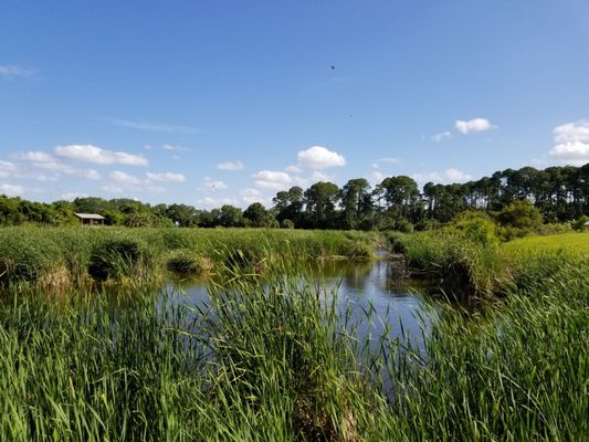 PINCKNEY ISLAND NATIONAL WILDLIFE REFUGE - Updated May 2025 - 158 ...