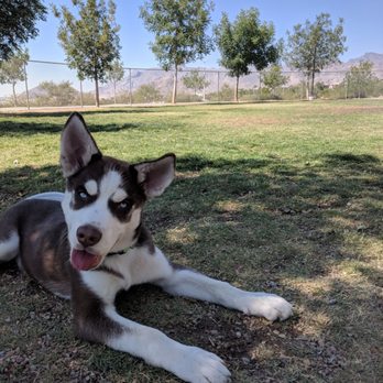 KNICKERBOCKER PARK - Updated September 2025 - 117 Photos & 43 Reviews ...