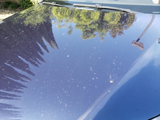 WINCHESTER SHELL & CAR WASH - Updated August 2025 - 18 Photos & 49 ...