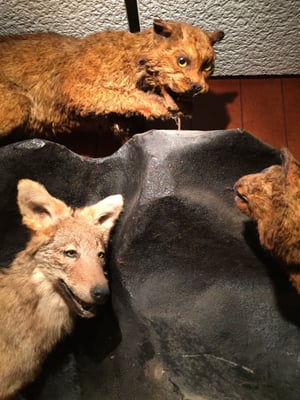 WESTLINE INN - Updated October 2025 - 17 Photos & 27 Reviews - 15 El ...