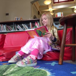 HEIGHTS NEIGHBORHOOD LIBRARY - 31 Photos & 28 Reviews - 1302 Heights ...