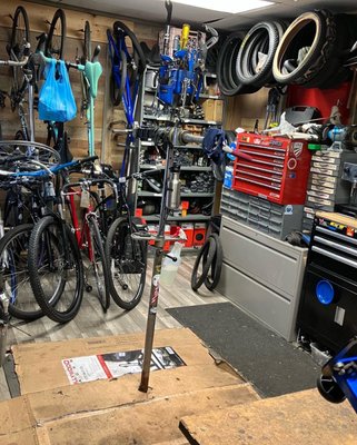 UP CYCLES - Updated December 2025 - 2544 Library Rd, Pittsburgh ...