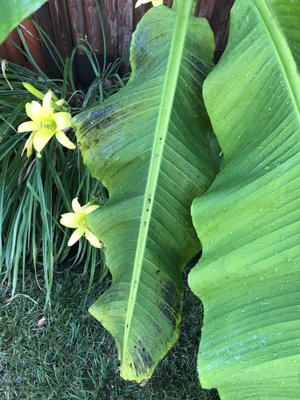 PECO - Updated February 2026 - 27 Photos & 112 Reviews - 2301 Market St ...