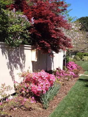 ROSSMOOR - Updated April 2026 - 21 Photos & 45 Reviews - 1001 Golden ...