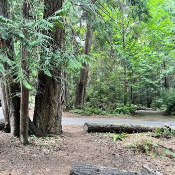 OLD FORT TOWNSEND STATE PARK - Updated December 2025 - 45 Photos & 20 ...