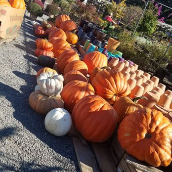 NALLS PRODUCE - Updated August 2025 - 394 Photos & 138 Reviews - 7310 ...