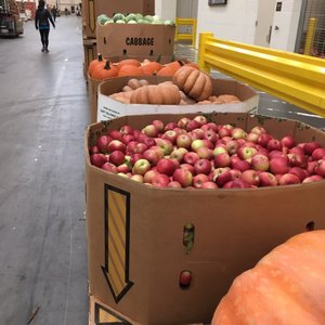 PHILADELPHIA WHOLESALE PRODUCE MARKET - 39 Photos - 6700 Essington Ave ...