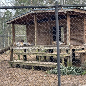 CATTY SHACK RANCH WILDLIFE SANCTUARY - Updated July 2025 - 690 Photos ...