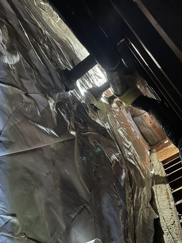 HORIZON TERMITE CONTROL - Updated October 2024 - 16 Photos & 42 Reviews - 3545 Haven Ave, Menlo ...