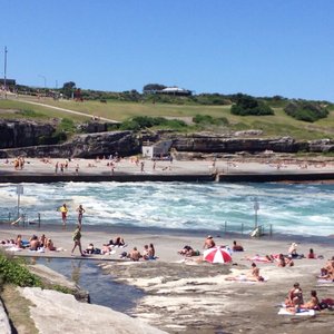 CLOVELLY BEACH - 27 Photos & 11 Reviews - Donnellan Circuit, Sydney New ...
