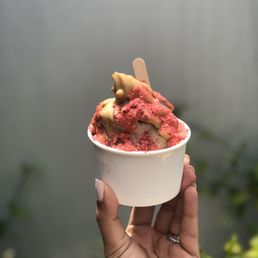 BIG SOFTIE - Updated October 2025 - 366 Photos & 246 Reviews - 66 ...