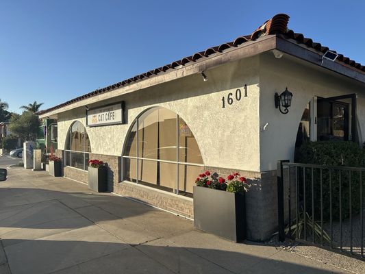 THE CAFFEINATED CAT CAFE - Updated October 2025 - 48 Photos & 21 ...