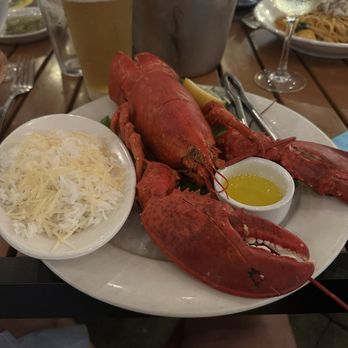 JUNO BEACH FISH HOUSE - Updated June 2024 - 205 Photos & 313 Reviews ...