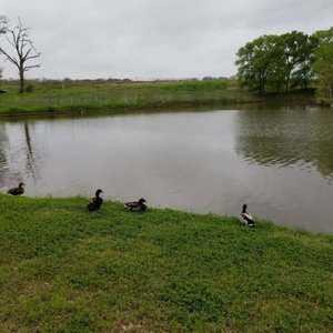 STEPHEN C. BEACHY CENTRAL PARK - Updated June 2025 - 19 Photos - 1000 ...