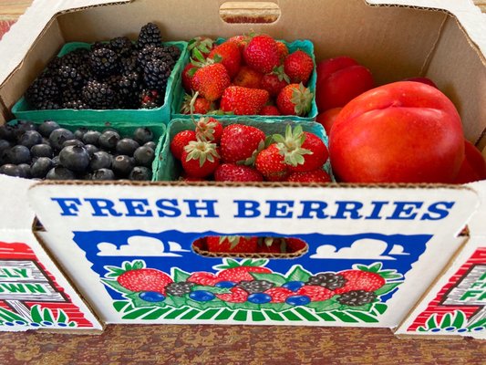 THOMPSON FARMS - Updated December 2025 - 12 Photos & 18 Reviews - 24727 ...