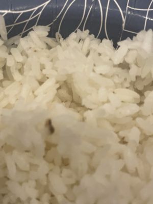 DIM SUM II CHINESE RESTAURANT - Updated December 2025 - 53 Photos & 116 ...