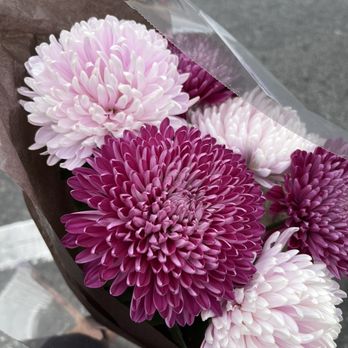 ANTHONY FLOWERS - Updated December 2025 - 47 Photos & 50 Reviews - 4034 ...