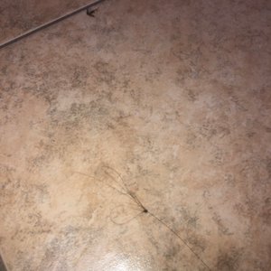 RAY T. BOBILA, MD - VICTOR VALLEY PEDIATRICS - Updated December 2025 ...