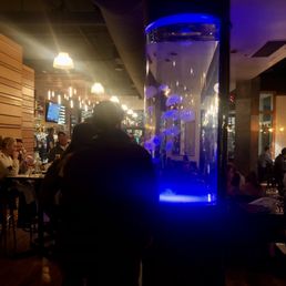 JAPANGO - Updated December 2025 - 455 Photos & 557 Reviews - 1136 Pearl ...