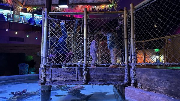 SEA LIFE GRAPEVINE AQUARIUM - Updated August 2024 - 433 Photos & 250 ...