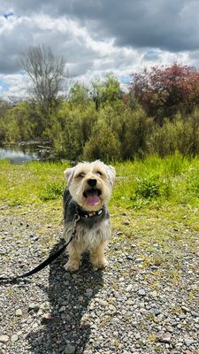 SHADOW CLIFFS REGIONAL RECREATION AREA - Updated August 2024 - 207 ...