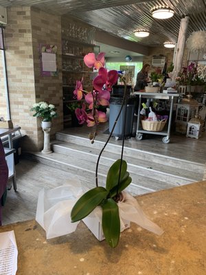BOESEN THE FLORIST - Updated May 2026 - 18 Photos & 23 Reviews - 3422 ...