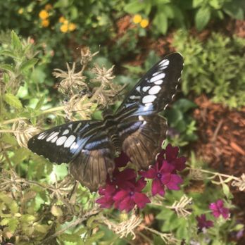 PERRY’S CAVE - Updated January 2026 - 115 Photos & 36 Reviews - 979 ...