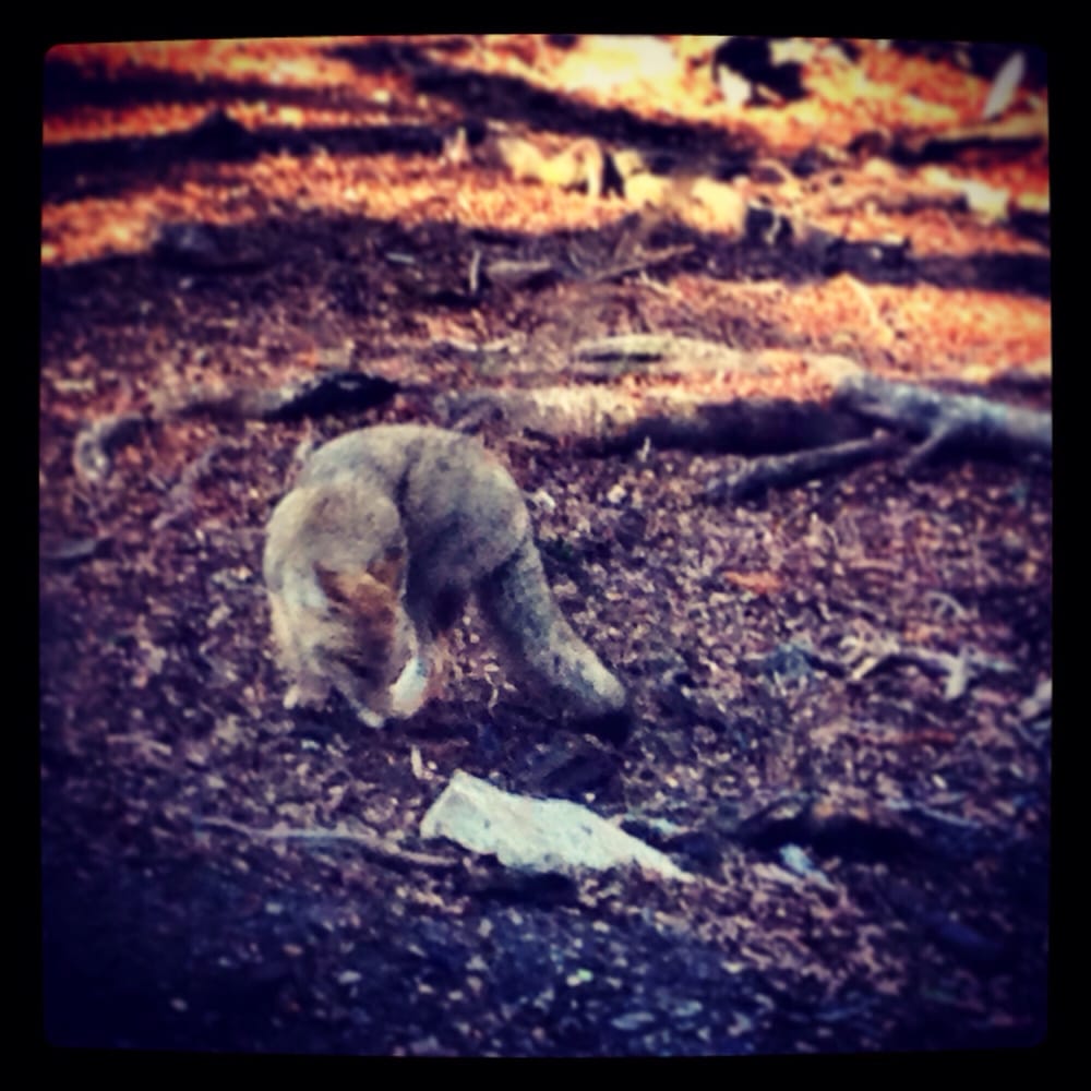 LAGO FAGNANO - Updated January 2025 - 14 Photos - Carretera Nacional 3 ...