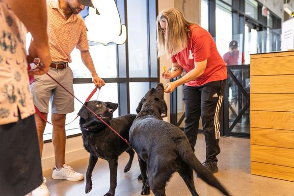 WAG’N BONE - Updated October 2025 - 33 Photos & 17 Reviews - 5670 ...