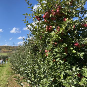 WAY FRUIT FARM - Updated December 2025 - 74 Photos & 45 Reviews - 2355 ...